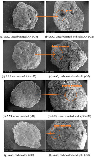 Influence of Carbonated Bottom Slag Granules in 3D Concrete Printing