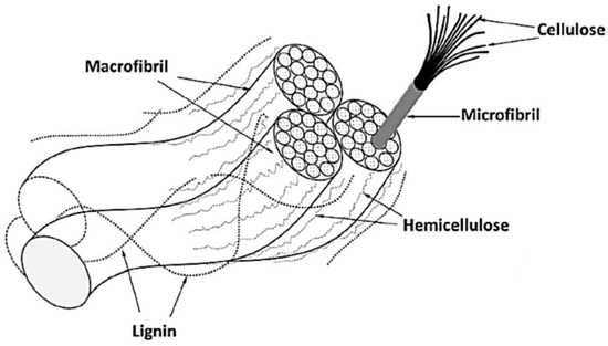A Review of Natural Fiber-Based Filaments for 3D Printing: Filament ...