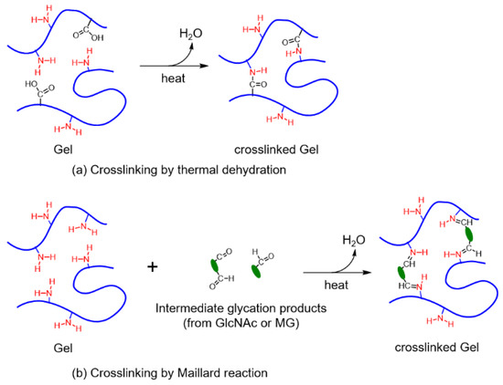 Materials | Free Full-Text | Preparation and Characterization of Crosslinked Electrospun Gelatin ...