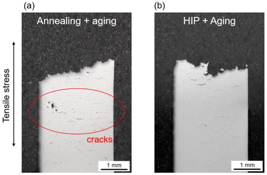 Influence of Different Build Orientations and Heat Treatments on the ...
