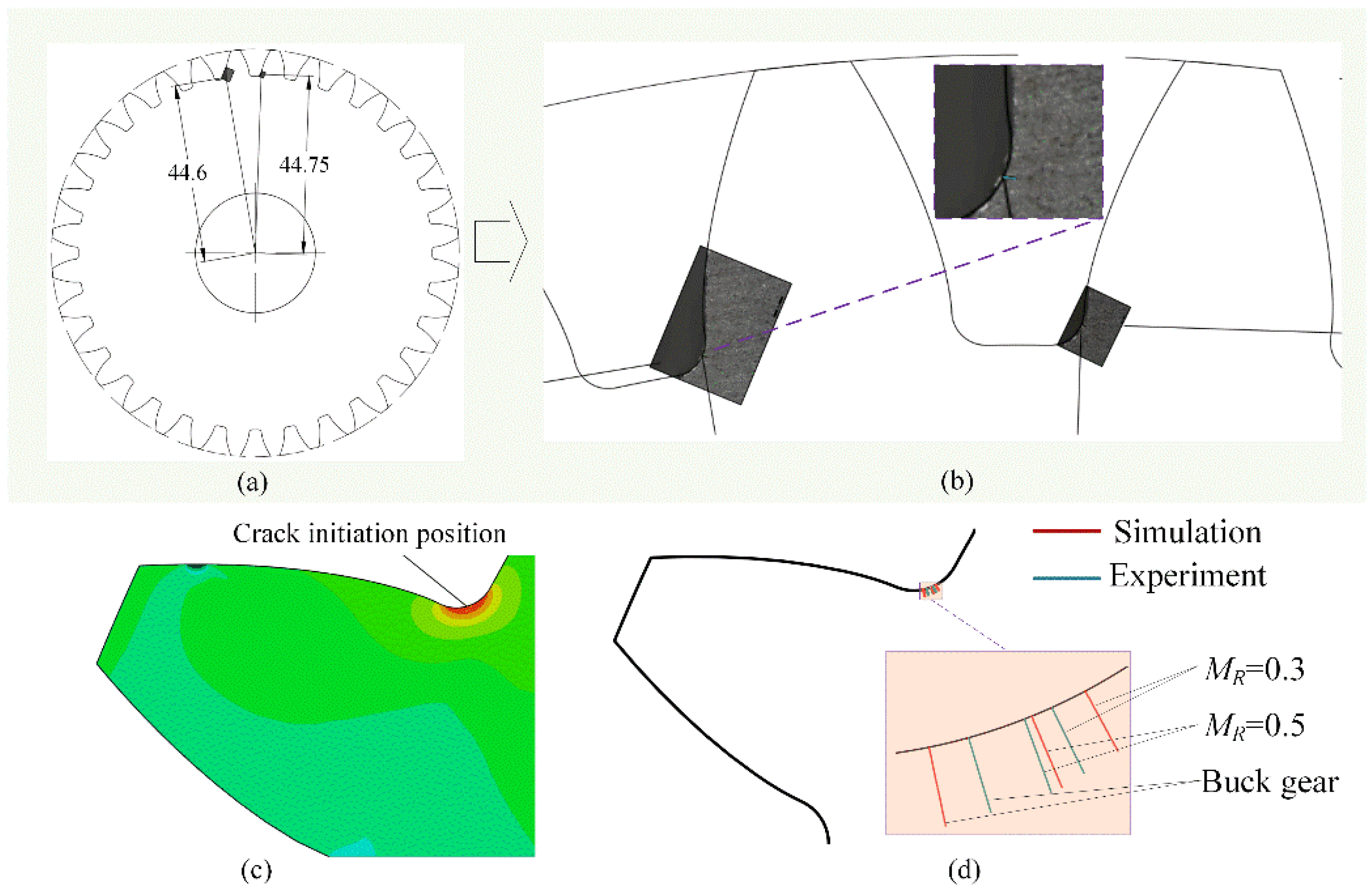 Investigation of Crack Propagation Behaviour in Thin-Rim Gears ...