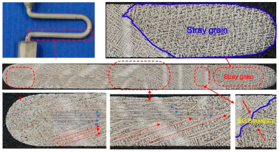 A Study of Grain Selection in Two-Dimensional (2D) Grain Selectors ...