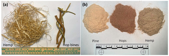 Evaluation of the Mechanical, Thermal and Rheological Properties of Hop ...