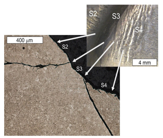 Structural Features of Fatigue Crack Propagation of a Forging Die Made ...