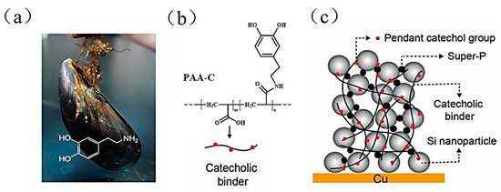 Materials | Free Full-Text | Application and Development of Silicon Anode Binders for Lithium ...