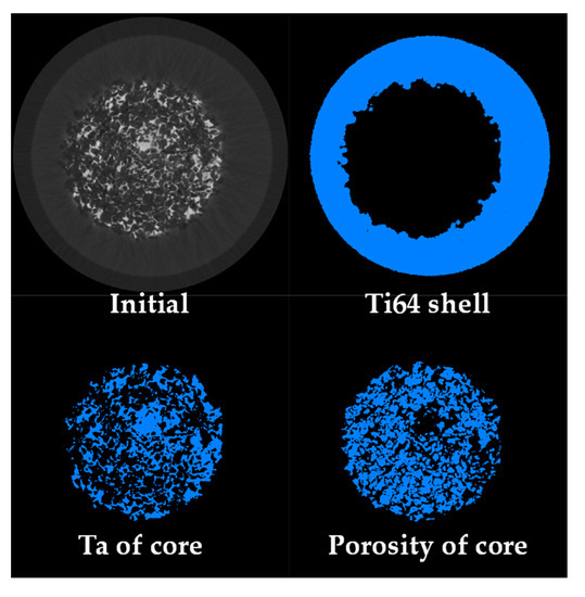 Design of Ti64/Ta Hybrid Materials by Powder Metallurgy Mimicking Bone ...