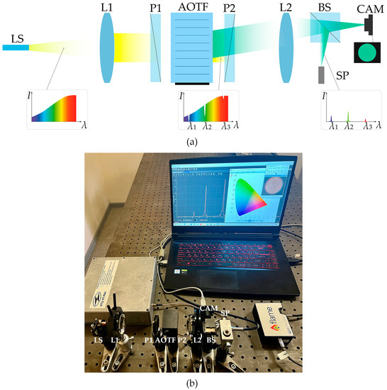 Color Reproduction by Multi-Wavelength Bragg Diffraction of White Light