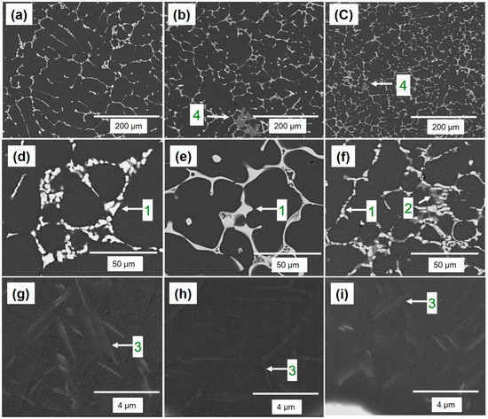 Investigating the Influence of Mg Content Variations on Microstructures, Heat-Treatment, and ...