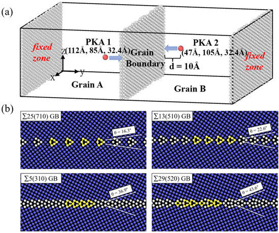The Evolution of Structural Defects under Irradiation in W by Molecular ...