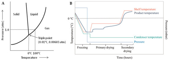 Freeze-Drying Process for the Fabrication of Collagen-Based Sponges as Medical Devices in ...