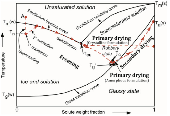 Freeze-Drying Process for the Fabrication of Collagen-Based Sponges as ...