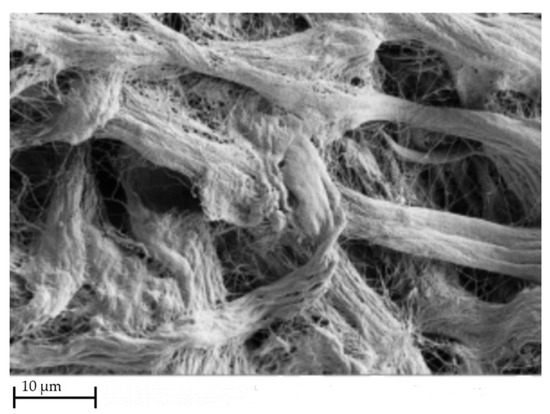 Freeze-Drying Process for the Fabrication of Collagen-Based Sponges as ...