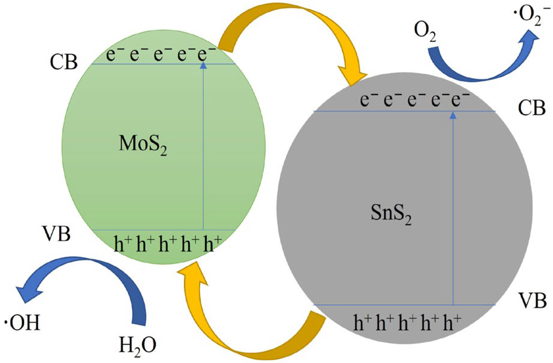 Materials | Free Full-Text | Hydrothermal Synthesis of MoS2/SnS2 Photocatalysts with ...