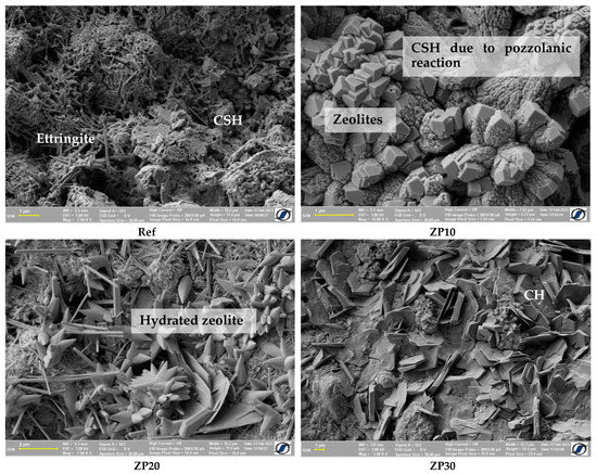 Analysis of Pore Structure in Cement Pastes with Micronized Natural Zeolite