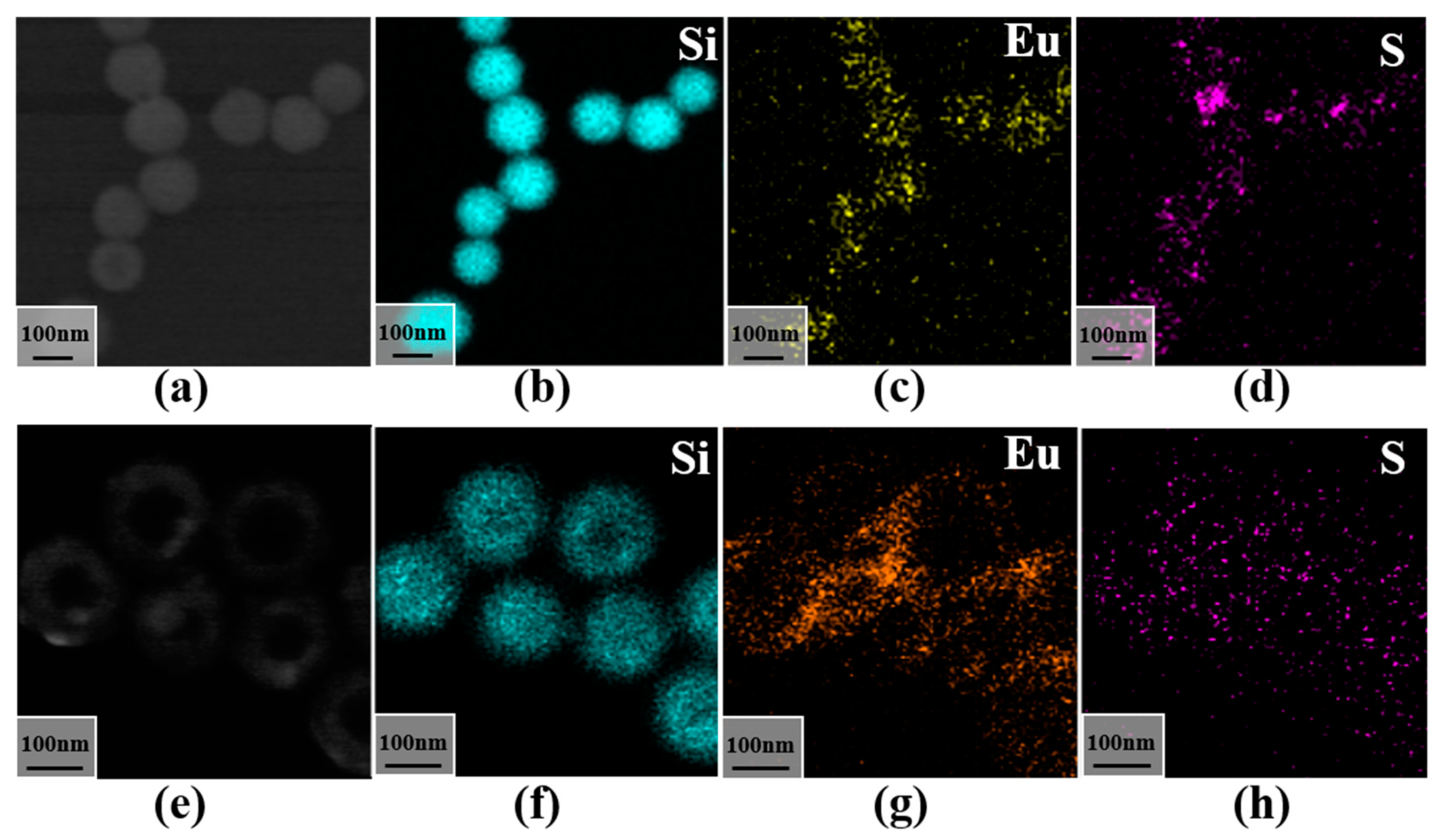 Synthesis of Mesoporous and Hollow SiO2@ Eu(TTA)3phen with Enhanced Fluorescence Properties