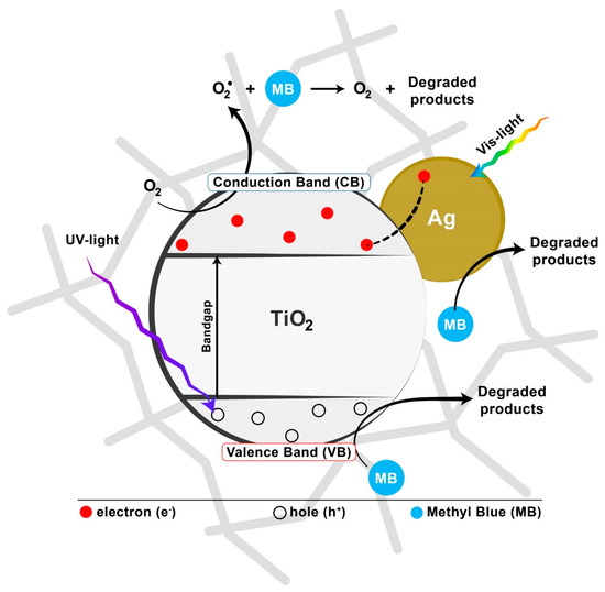 Photocatalytic Activity and Biocide Properties of Ag–TiO2 Composites on ...