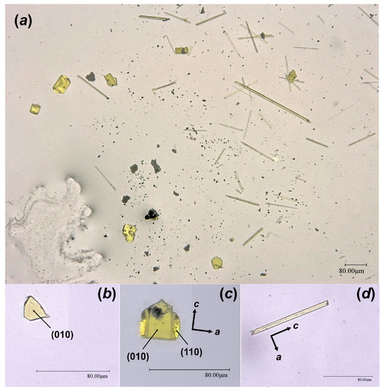 Evolution of Chernobyl Corium in Water: Formation of Secondary Uranyl ...