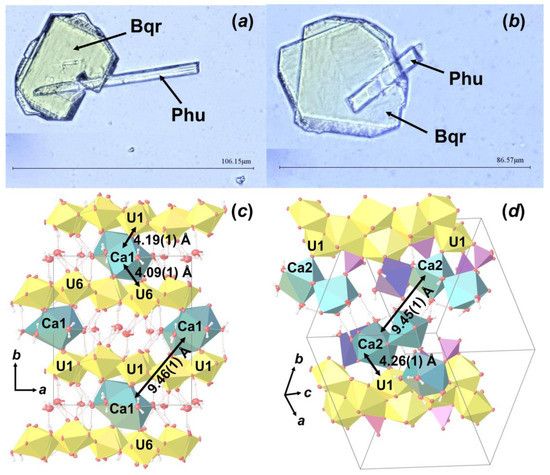 Evolution of Chernobyl Corium in Water: Formation of Secondary Uranyl ...