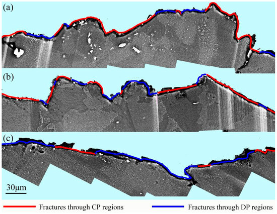 Dependence of Tensile Properties and Fracture Behaviors on the Fractions of Continuous and ...