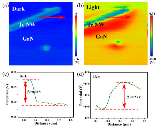High Performance GaN-Based Ultraviolet Photodetector via Te/Metal ...