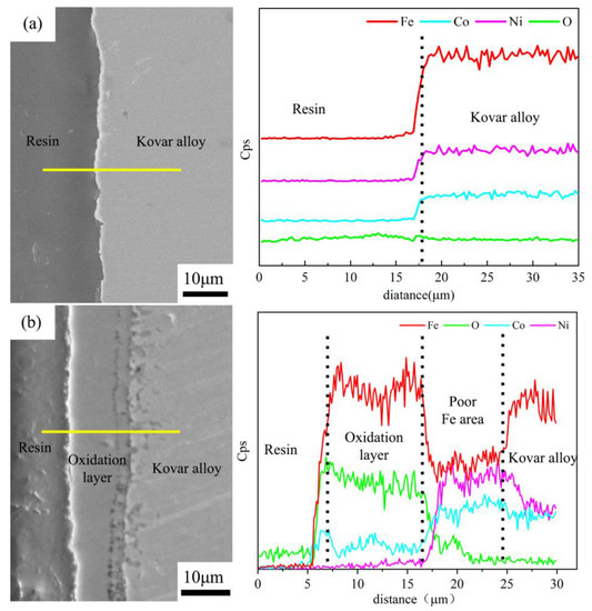 Microscopic Analysis of the Wetting Morphology and Interfacial Bonding ...