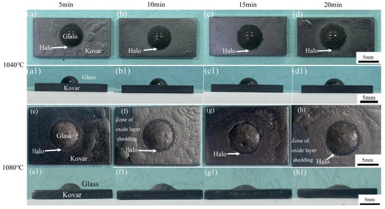Microscopic Analysis of the Wetting Morphology and Interfacial Bonding ...