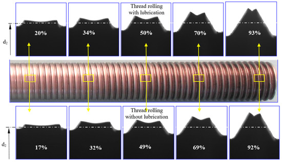 Application of the FEM Method to Modeling and Analysis of the Cold ...