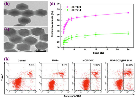 Innovative Metal-Organic Frameworks for Targeted Oral Cancer Therapy: A ...
