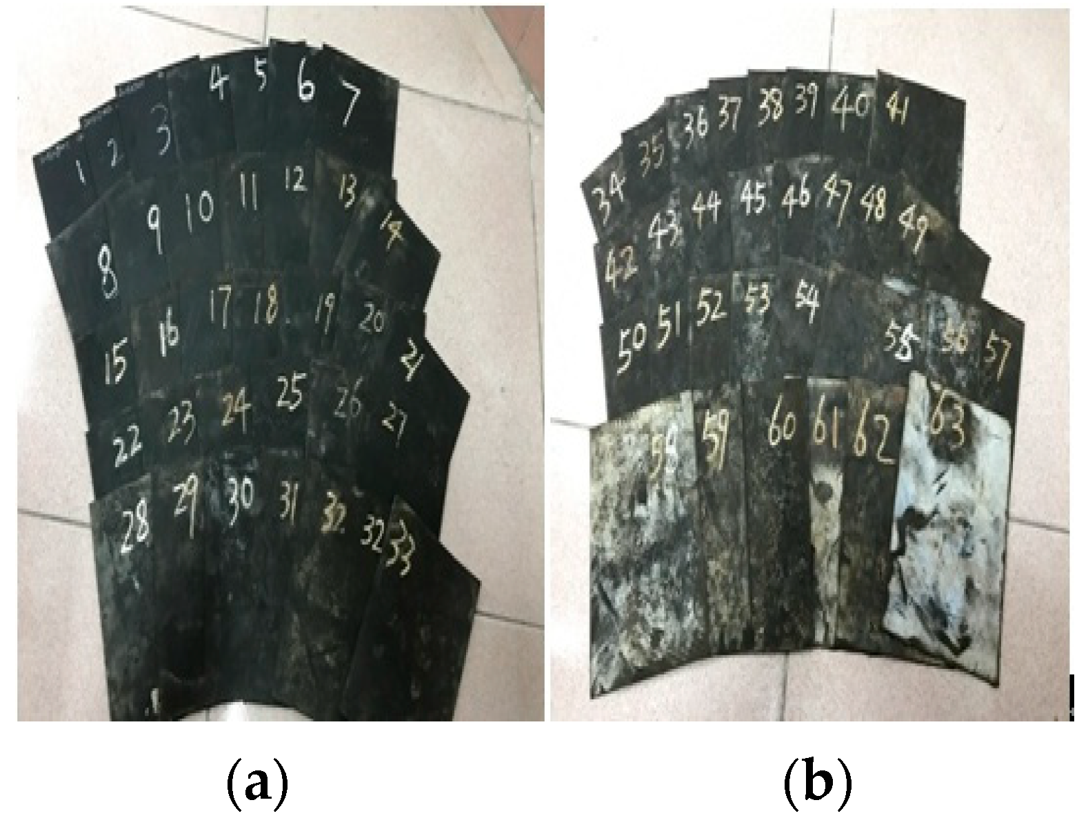 Determination and Prediction of Time-Varying Parameters of Mooney ...