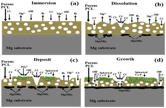 Polymeric Coatings for Magnesium Alloys for Biodegradable Implant ...
