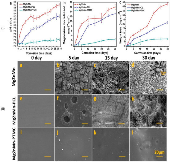 Polymeric Coatings for Magnesium Alloys for Biodegradable Implant ...
