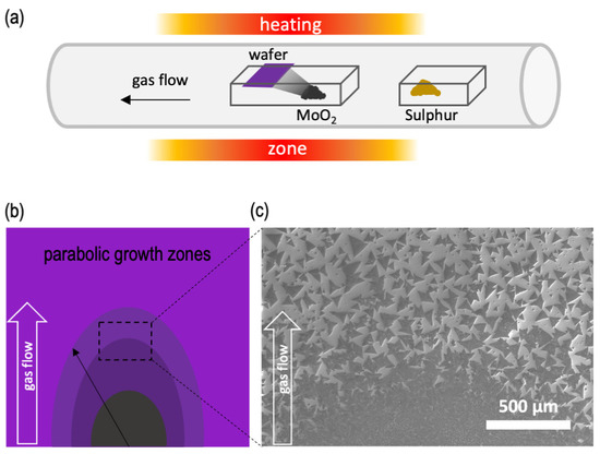 CVD Synthesis of MoS2 Using a Direct MoO2 Precursor: A Study on the ...
