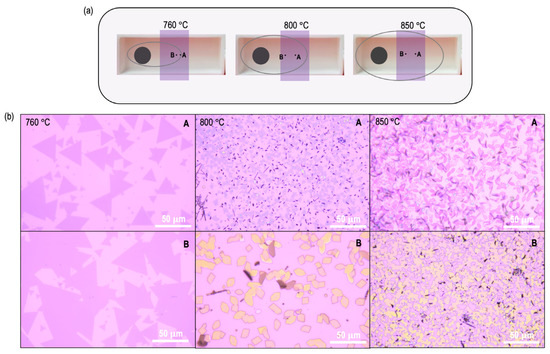 CVD Synthesis of MoS2 Using a Direct MoO2 Precursor: A Study on the ...