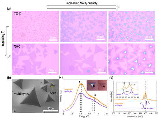 CVD Synthesis of MoS2 Using a Direct MoO2 Precursor: A Study on the ...