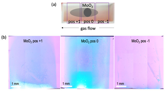 CVD Synthesis of MoS2 Using a Direct MoO2 Precursor: A Study on the ...