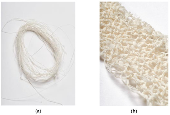 Bio-Producing Bacterial Cellulose Filaments through Co-Designing with ...