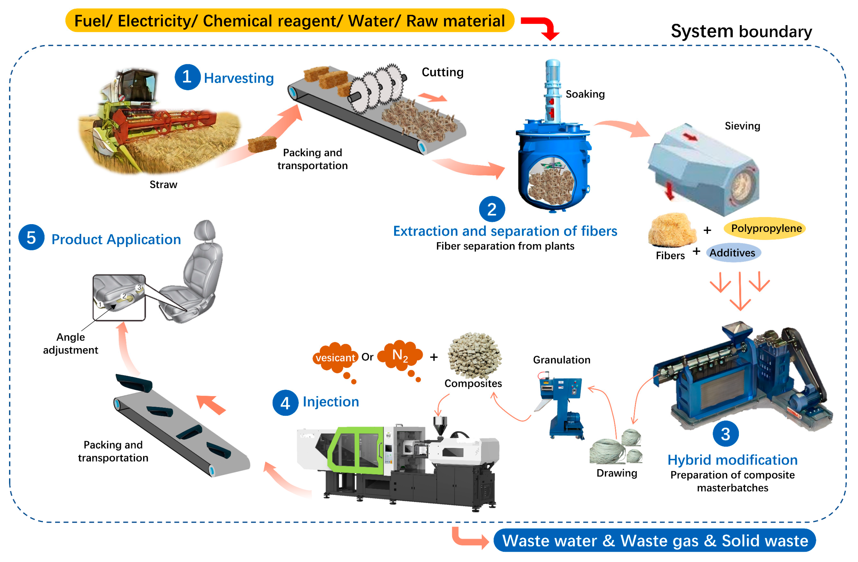 Unveiling Sustainable Potential: A Life Cycle Assessment of Plant–Fiber ...