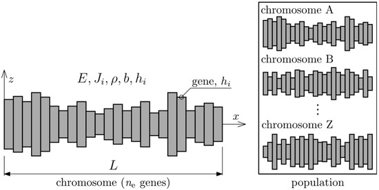 Genetic Algorithm Optimization of Beams in Terms of Maximizing Gaps ...