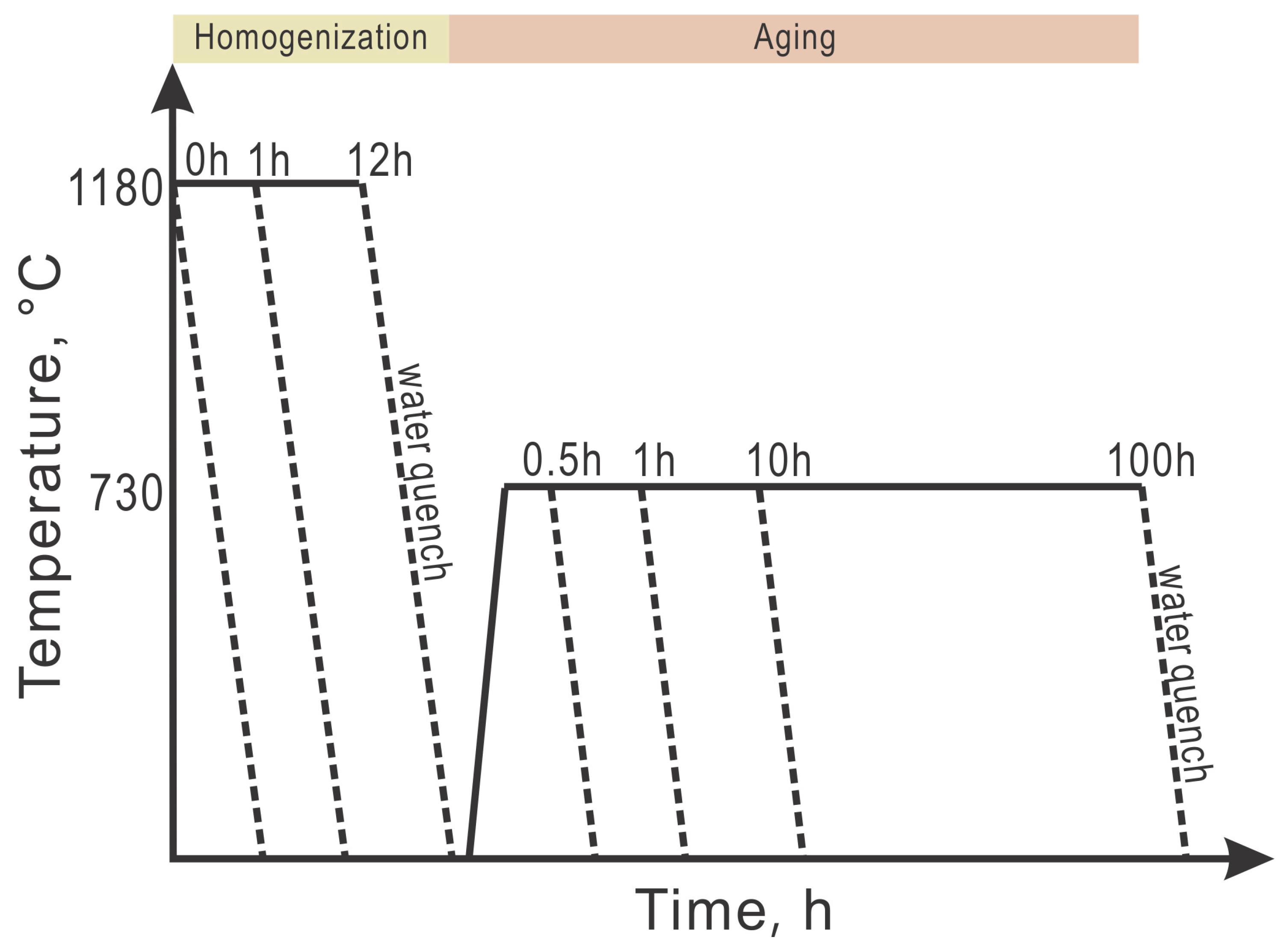 Influence of Homogenization on Phase Transformations during Isothermal ...