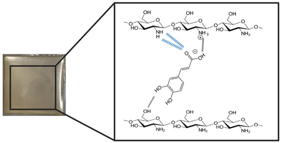 Characterization of Chitosan Films Modified Using Caffeic Acid and a ...