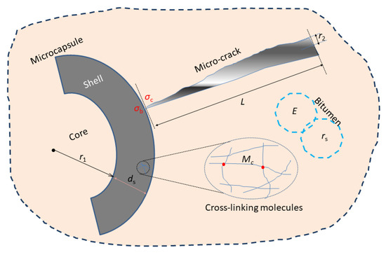 Multiscale Mathematical Analysis of Influencing Factors and ...