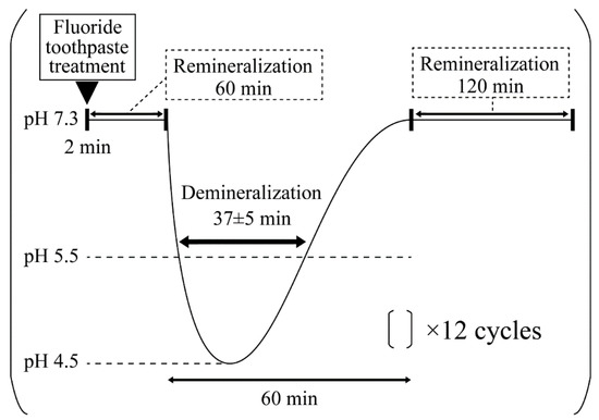 Delivery of Low-Diluted Toothpaste during Brushing Improves Enamel Acid ...