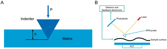 Dynamic Hydrogels with Viscoelasticity and Tunable Stiffness for the ...