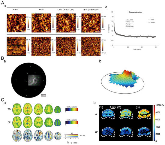 Dynamic Hydrogels with Viscoelasticity and Tunable Stiffness for the ...