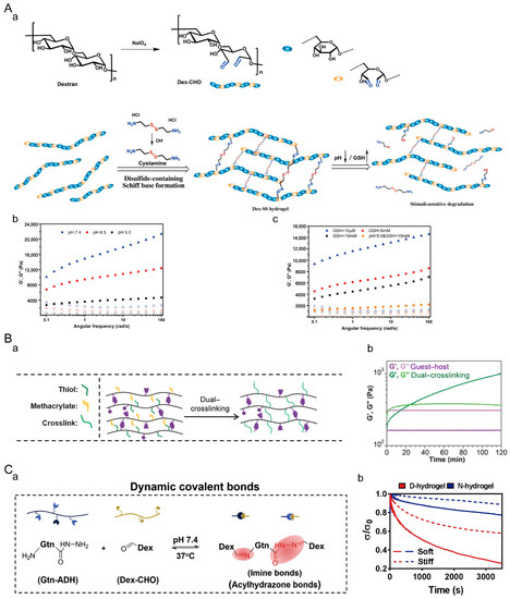 Dynamic Hydrogels with Viscoelasticity and Tunable Stiffness for the ...
