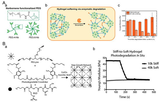 Dynamic Hydrogels with Viscoelasticity and Tunable Stiffness for the ...