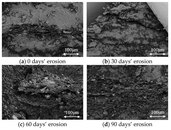 Investigation of Damage and Creep for Bedding’s Carbonaceous Slate with ...