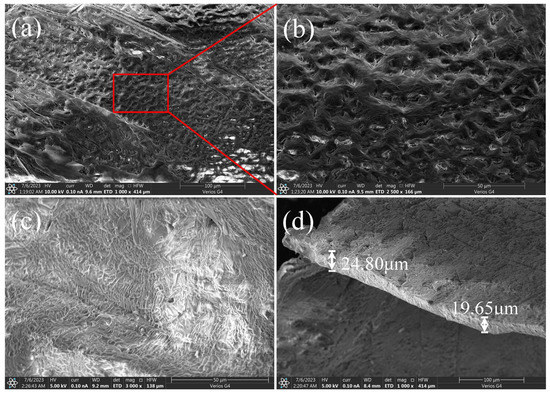 Evaporation of Saline Droplets on a Superhydrophobic Substrate ...