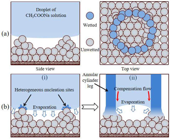 Evaporation of Saline Droplets on a Superhydrophobic Substrate ...