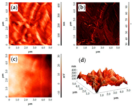 Hydrothermal Synthesis of a Cellular NiO Film on Carbon Paper as a ...